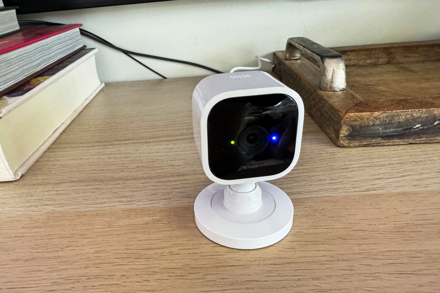 7 Best Dog Cameras for Home Monitoring in 2025: Top Picks for Pet ...